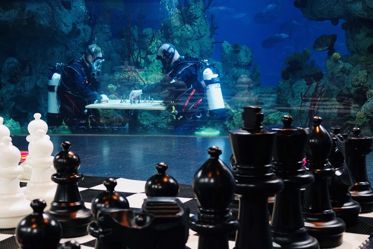 Find out why divers at the Deep have been playing chess - Hull CC News